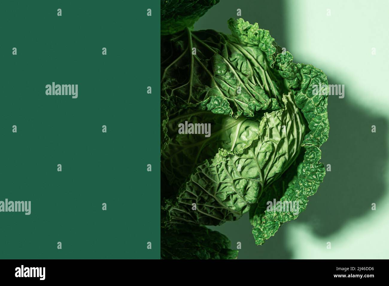 Light and shadow on cabbage leaf hi-res stock photography and images ...