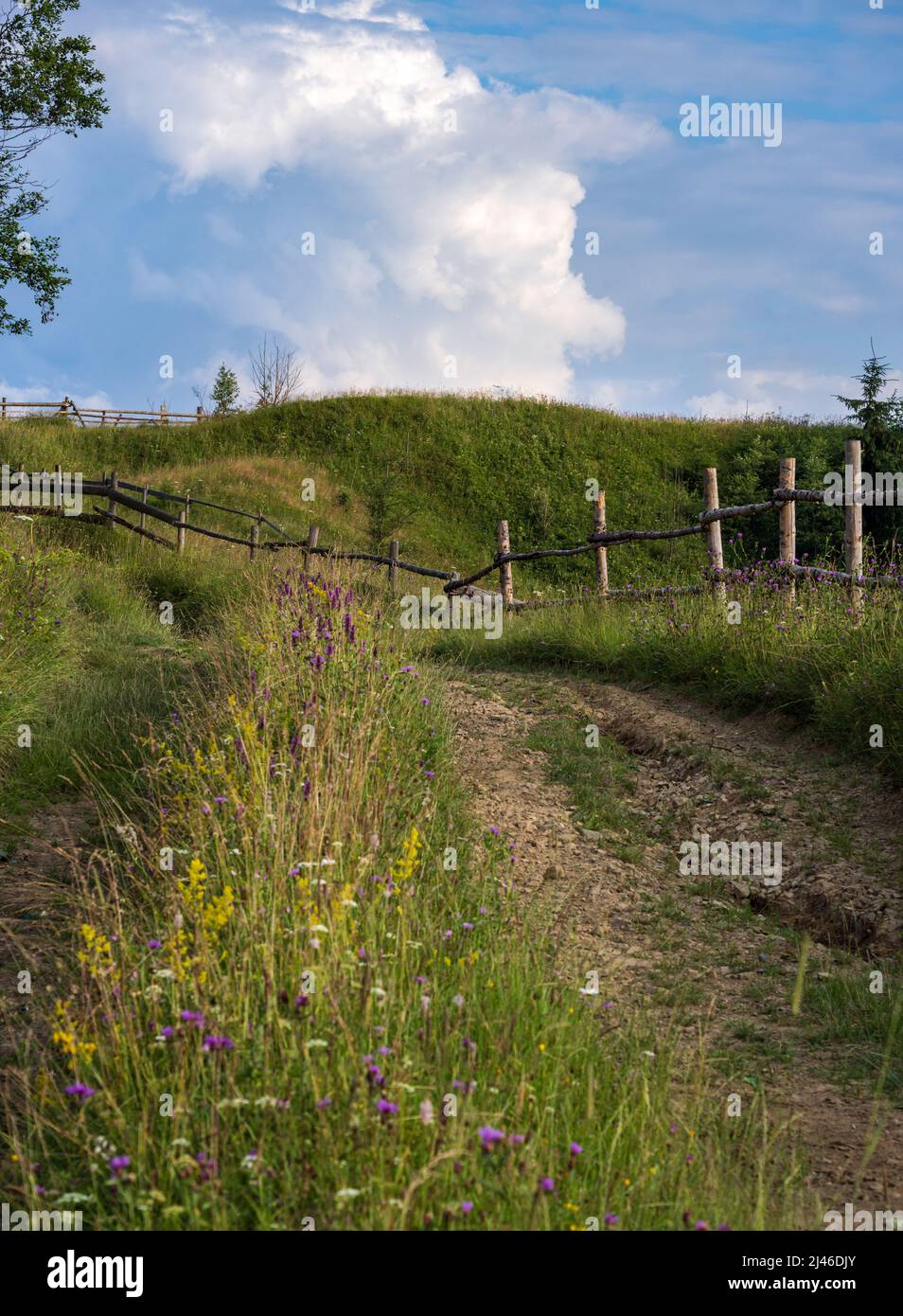 Ukraine agriculture hi-res stock photography and images - Alamy