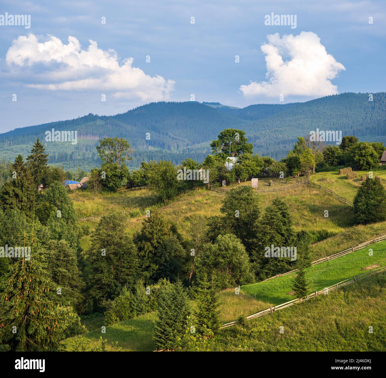 Picturesque summer Carpathian mountain countryside view, Ukraine Stock ...