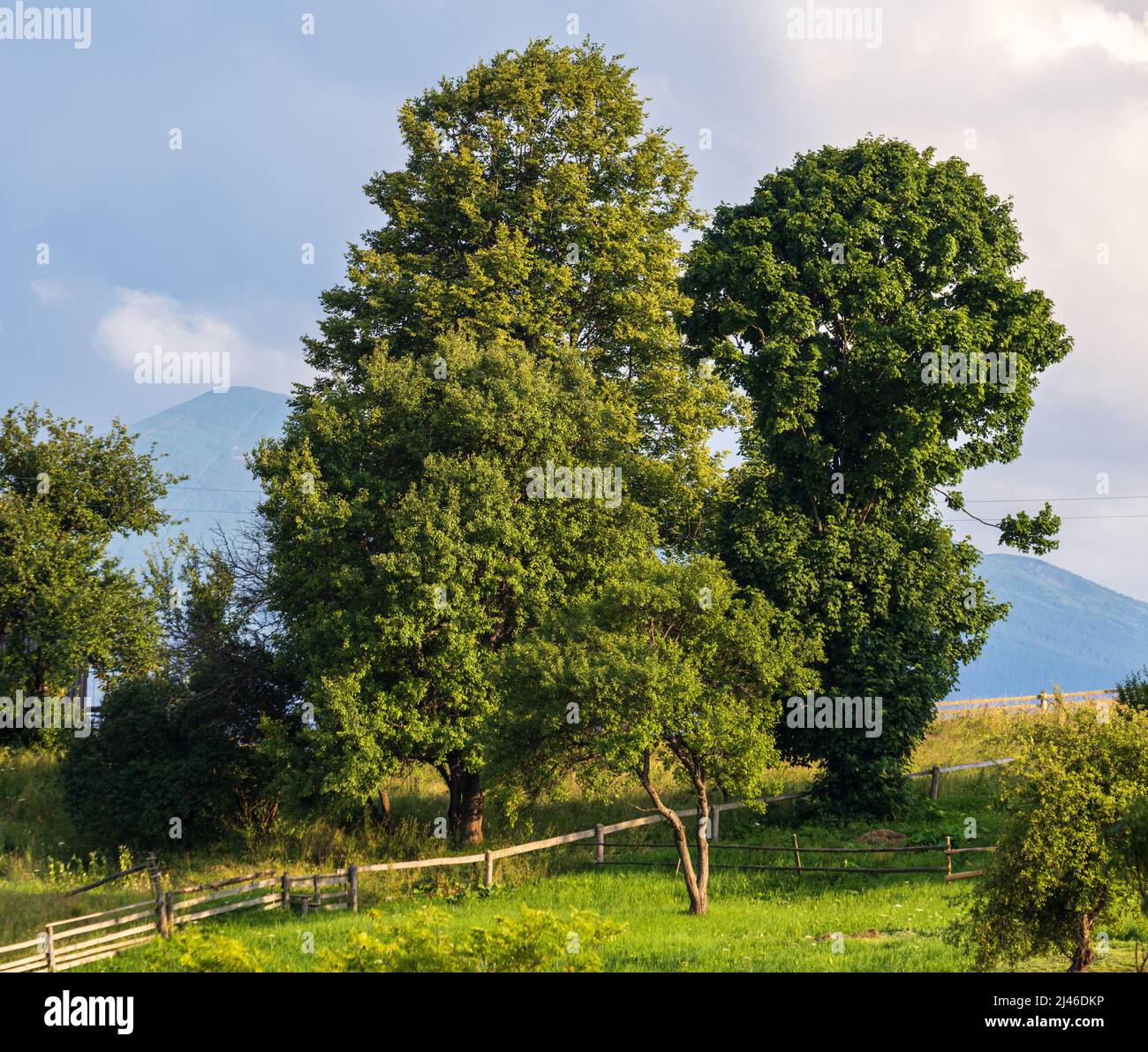 Picturesque summer Carpathian mountain countryside view, Ukraine Stock ...