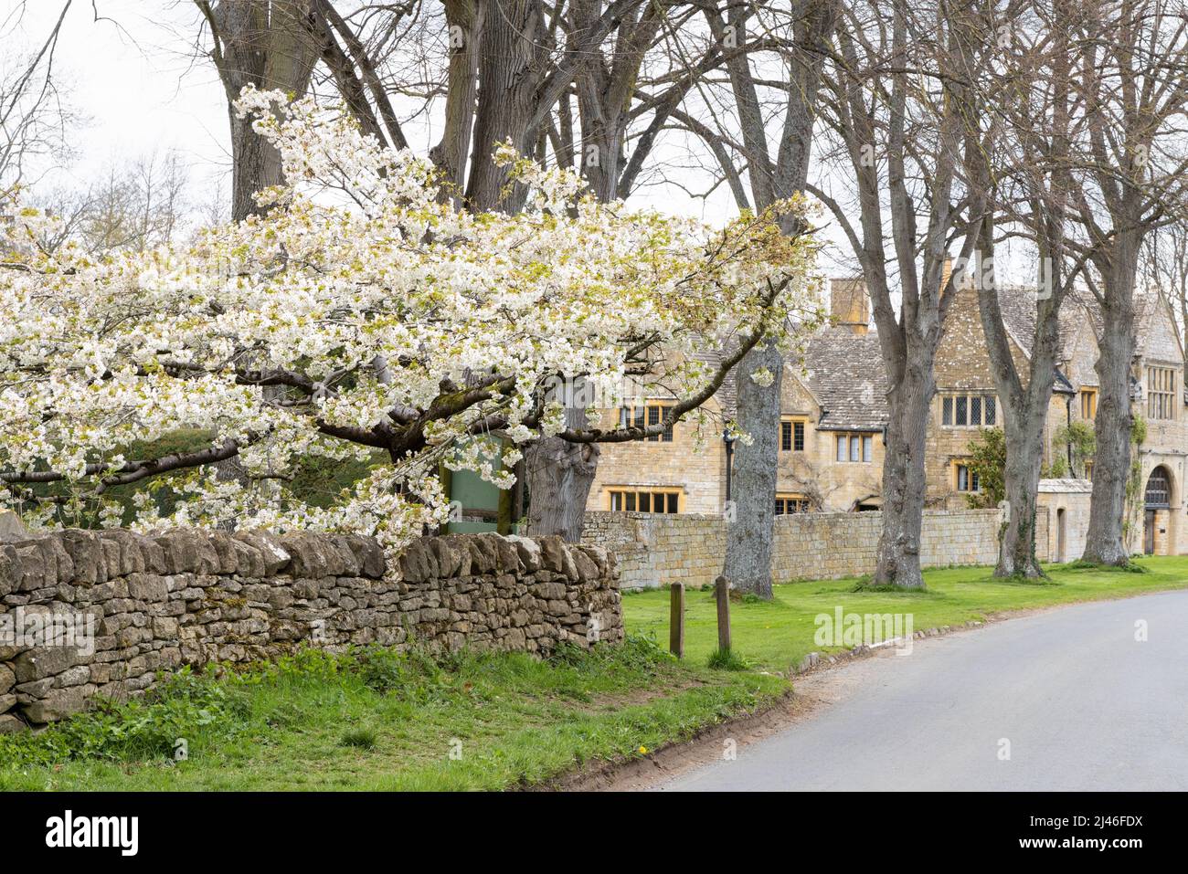 The blossom trail cotswolds hi-res stock photography and images - Alamy