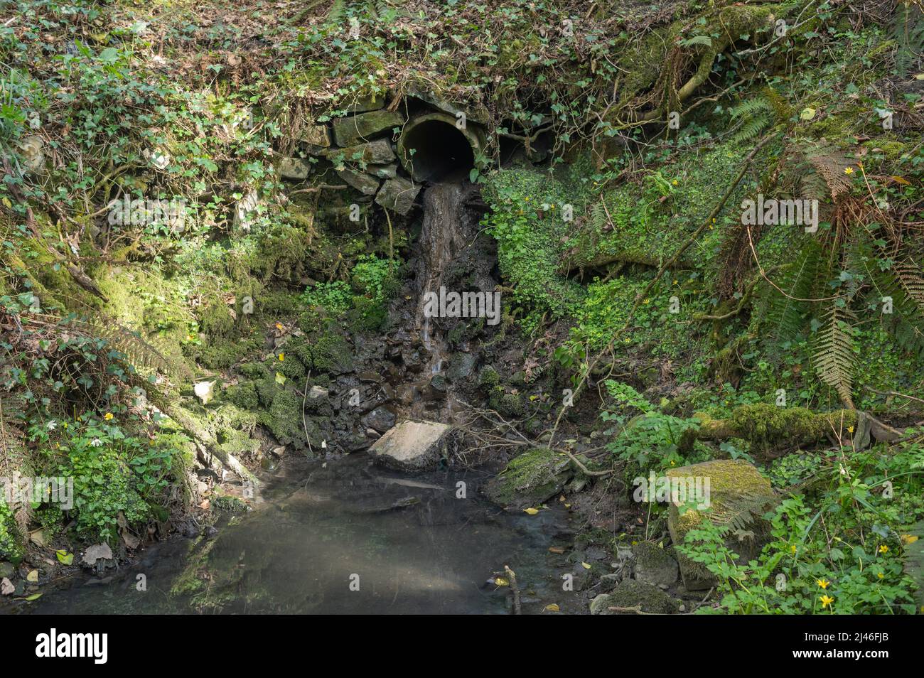 Sewage discharge overflow uk hi-res stock photography and images - Alamy