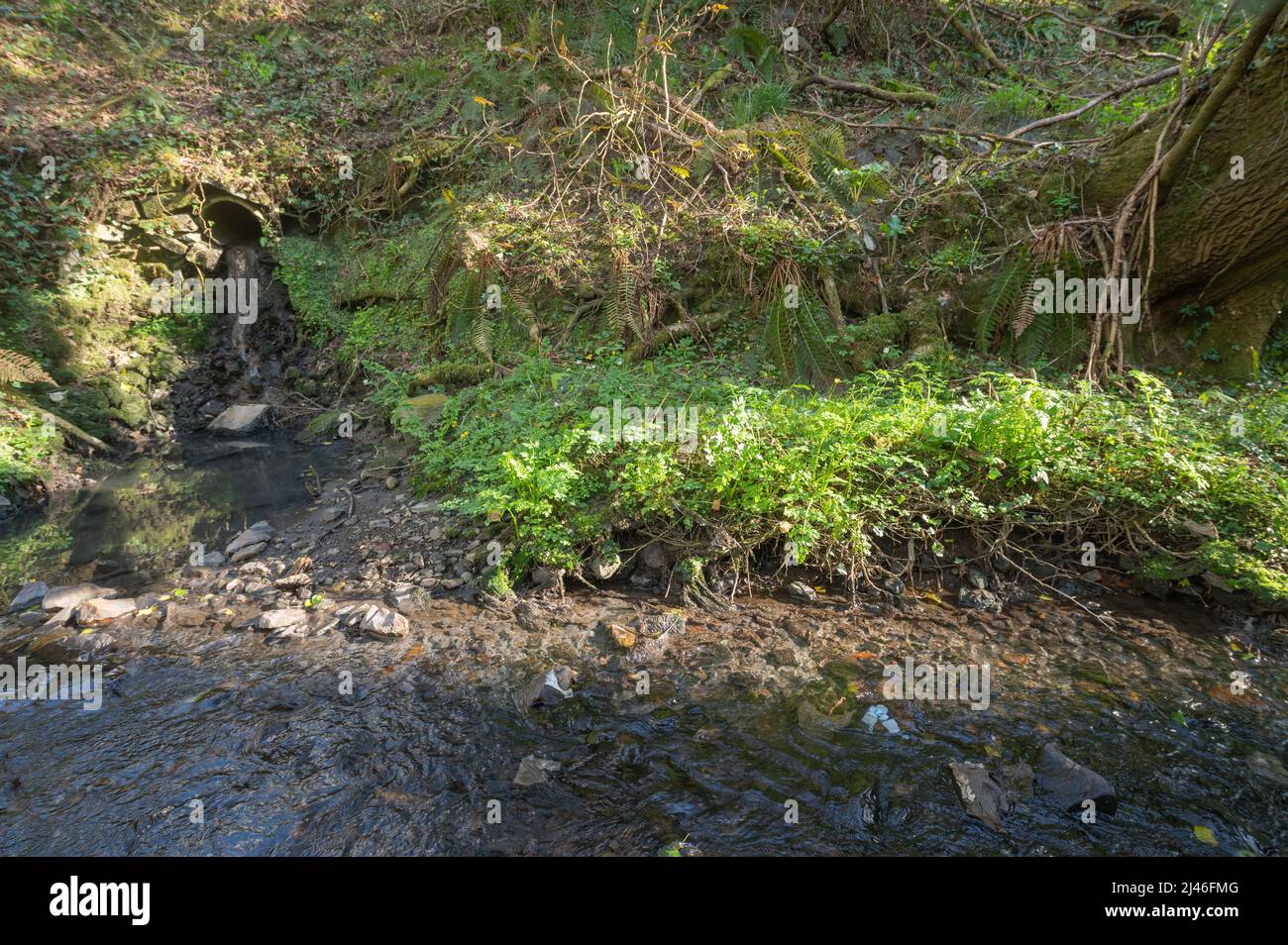 Pollution from outfall pipe discharging untreated sewage into a ...