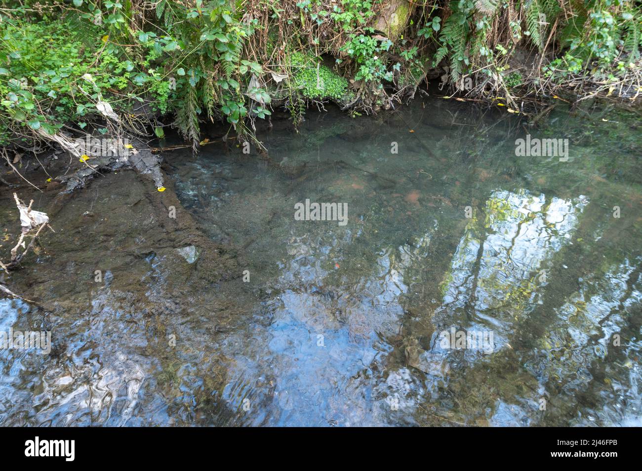 Combined sewer outfall hi-res stock photography and images - Alamy