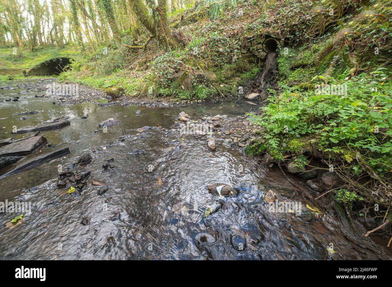 Effluent discharge hi-res stock photography and images - Alamy