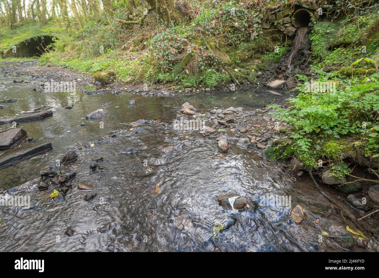 Pollution from outfall pipe discharging untreated sewage into a ...