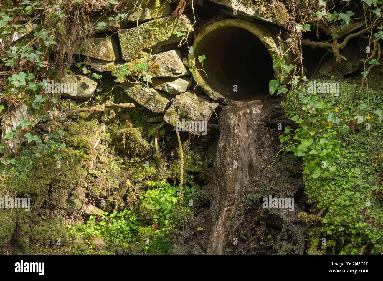 Sewage discharge overflow uk hi-res stock photography and images - Alamy