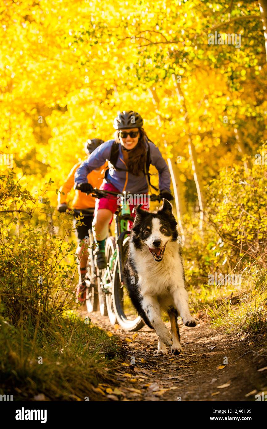Feminine bike hi-res stock photography and images - Alamy