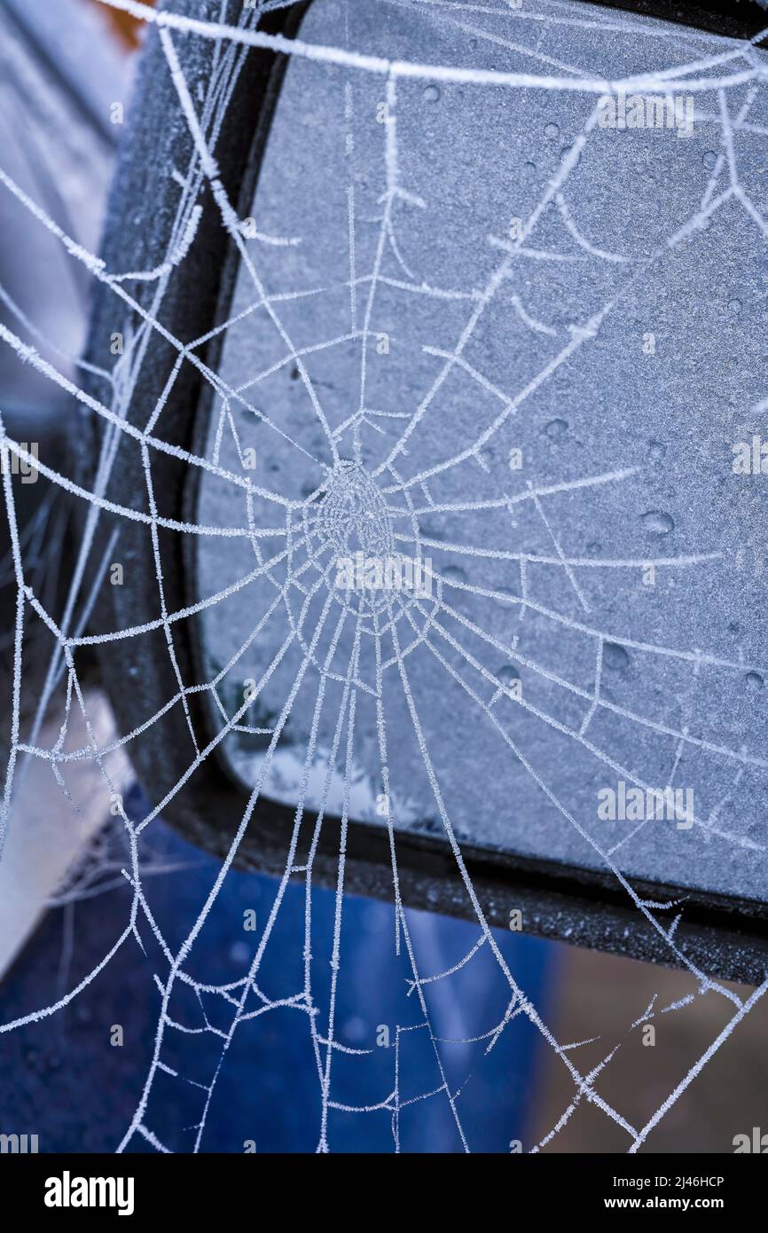 Spider wipe hi-res stock photography and images - Alamy