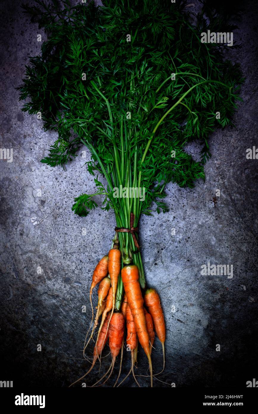 Bunch of fresh carrots on a grey background Stock Photo - Alamy