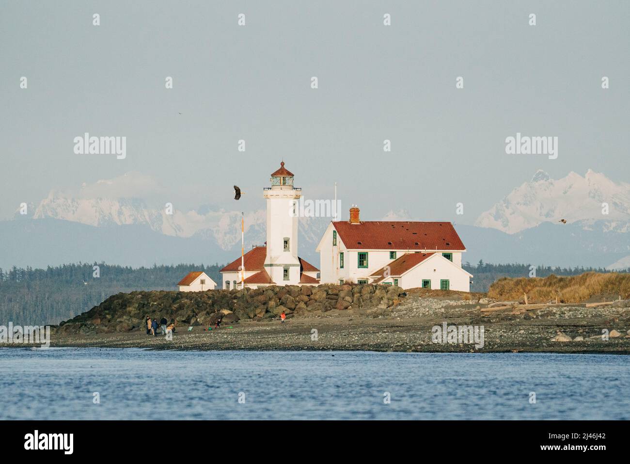 View of a bald eagle flying over Port Wilson Lighthouse Stock Photo - Alamy