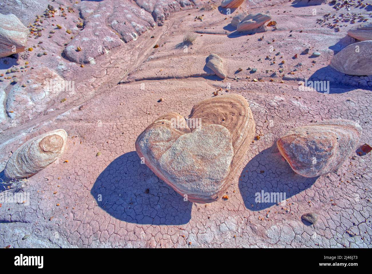 Purple heart trail hi-res stock photography and images - Alamy