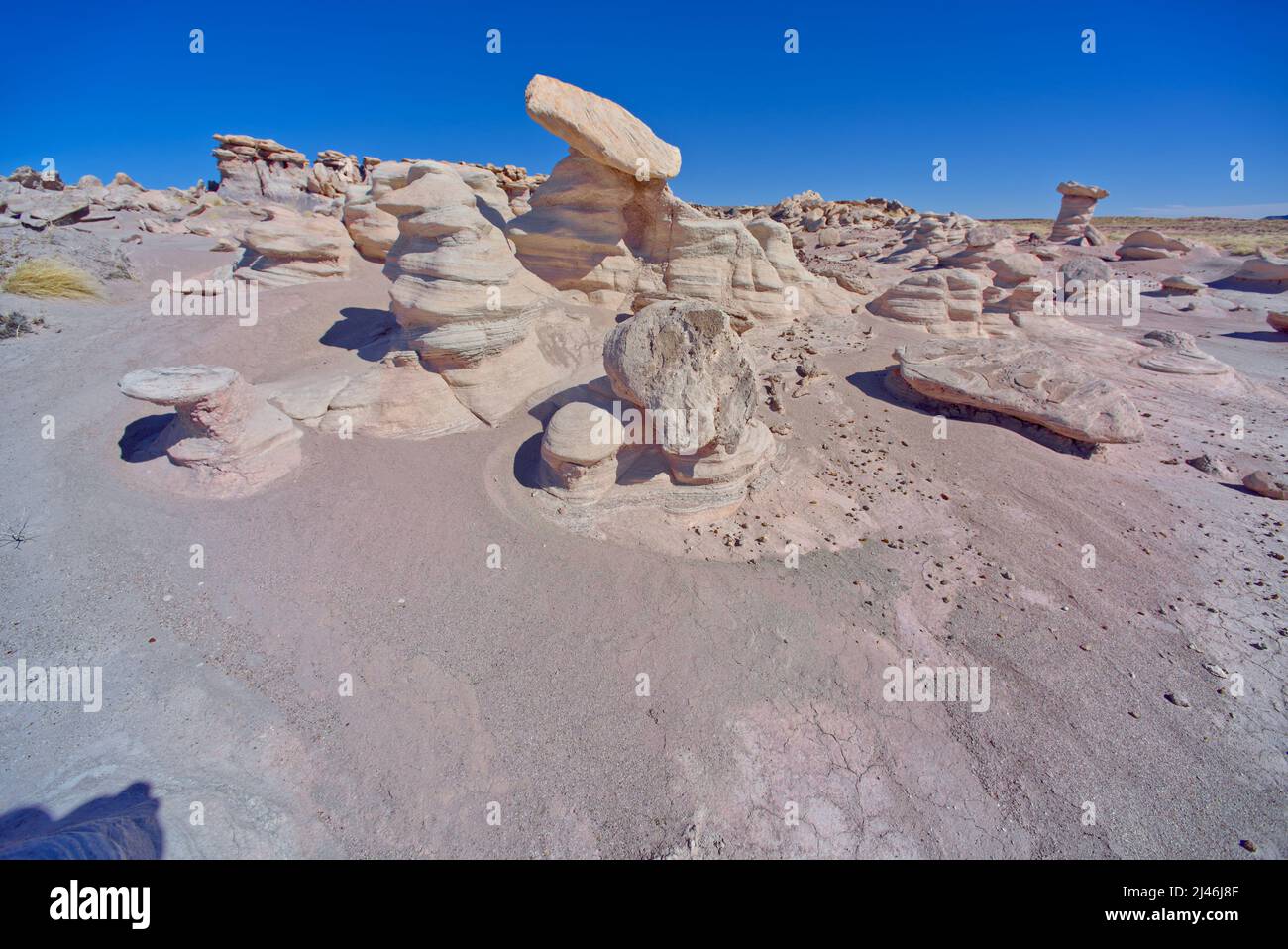 Devils spawn hi-res stock photography and images - Alamy