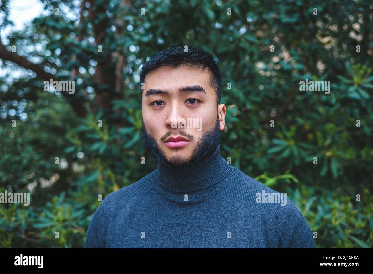 portrait chinese man looking at camera Stock Photo - Alamy