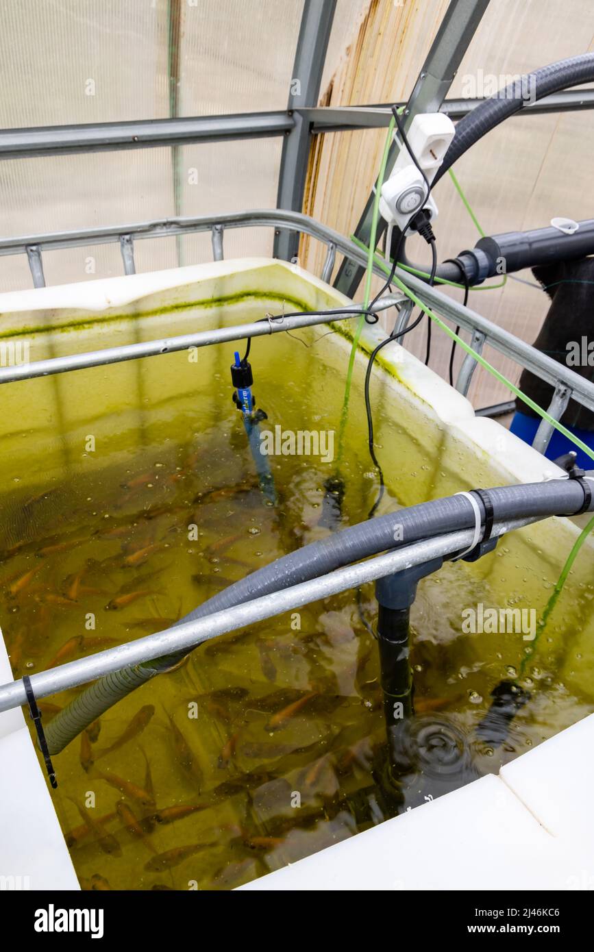 Fish process plant design hi-res stock photography and images - Alamy