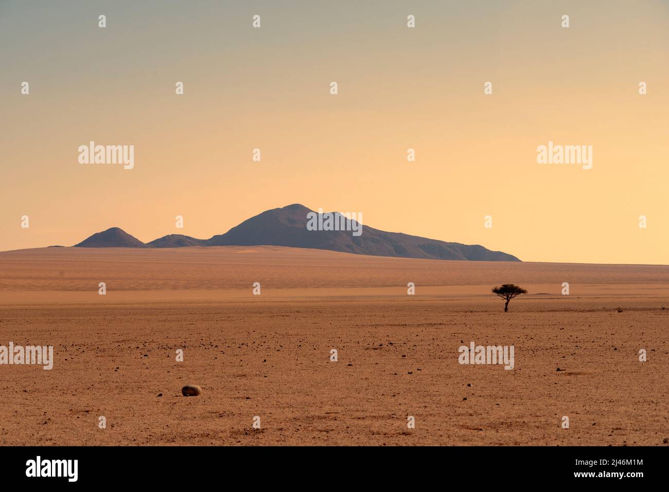 endless desert landscape with lonely tree and distant rock in Namibia ...