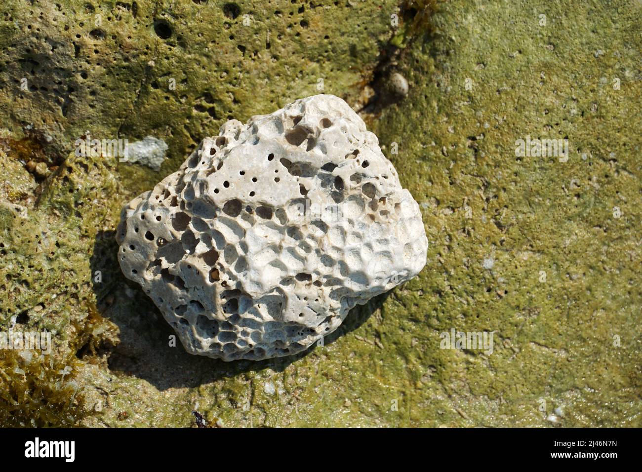 Wet stone hi-res stock photography and images - Alamy
