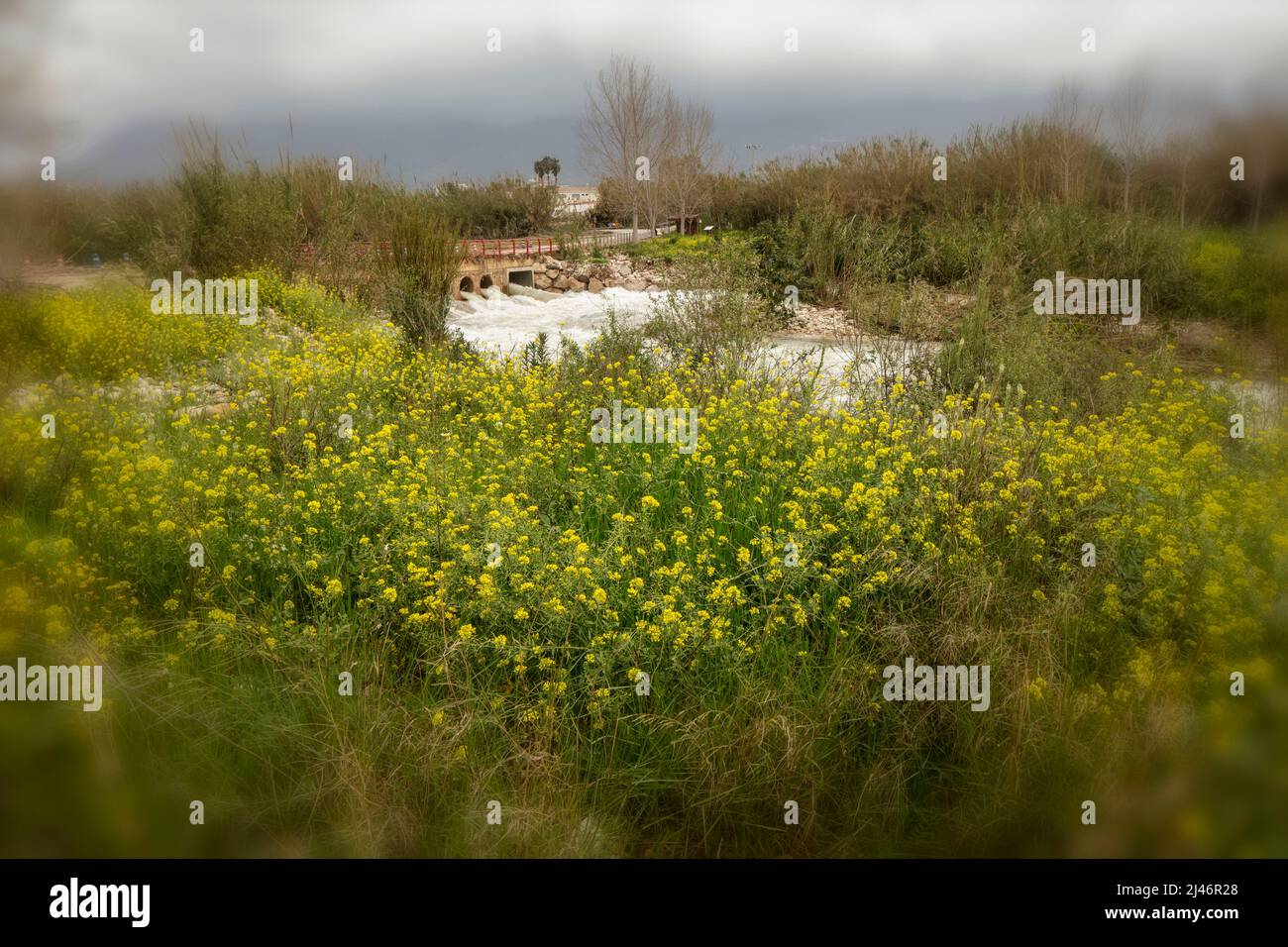 Spring landscape view of the Algar river, Altea on the Costa Dorada, in ...