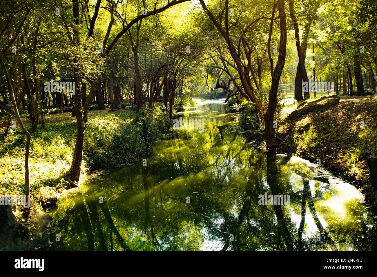 Overgrown lake hi-res stock photography and images - Alamy