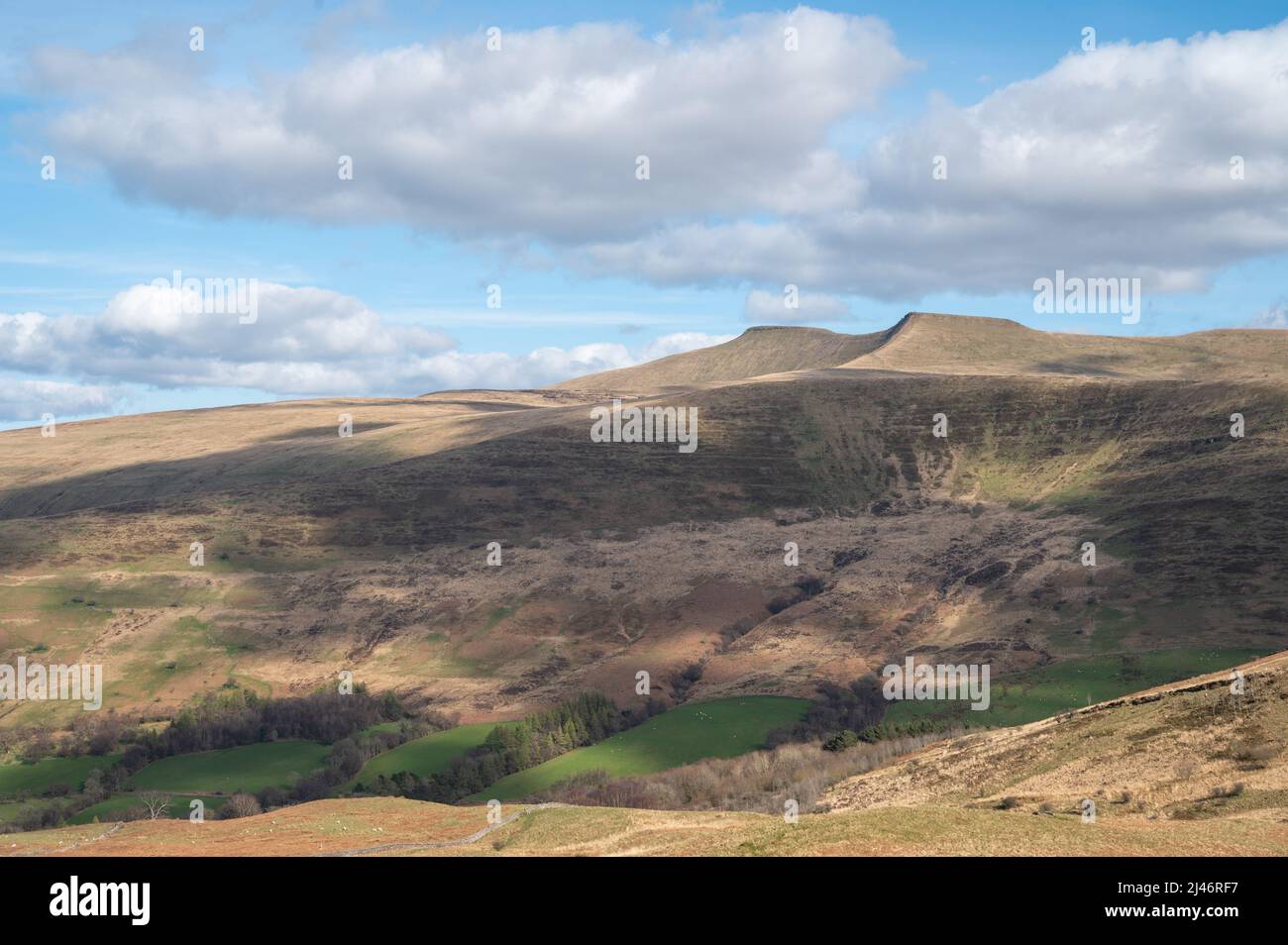 View east along the cliffs of Craig Cerrig Gleisiad National Nature ...