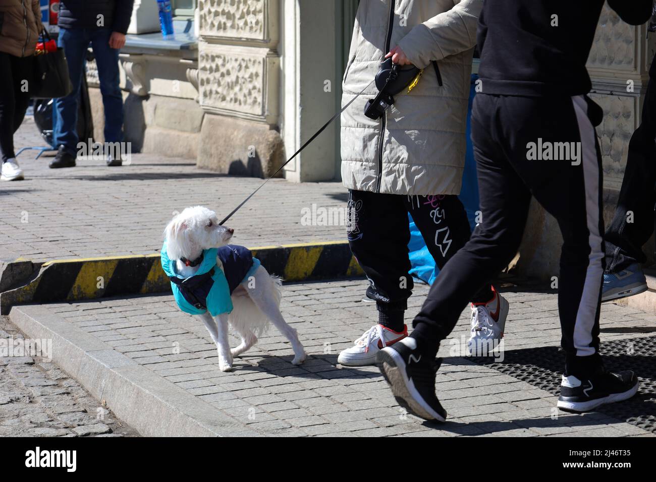 Przemysl, Poland. 12th Apr, 2022. Refugees and Refugee Dog at the ...