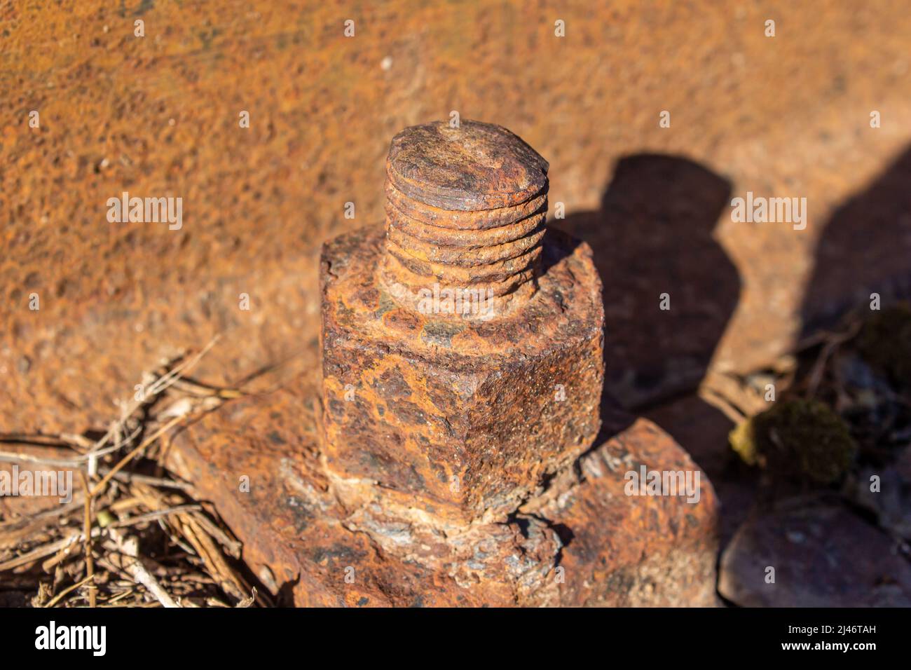 Old rusty industrial screw. Closeup photo of rusty screw Stock Photo ...
