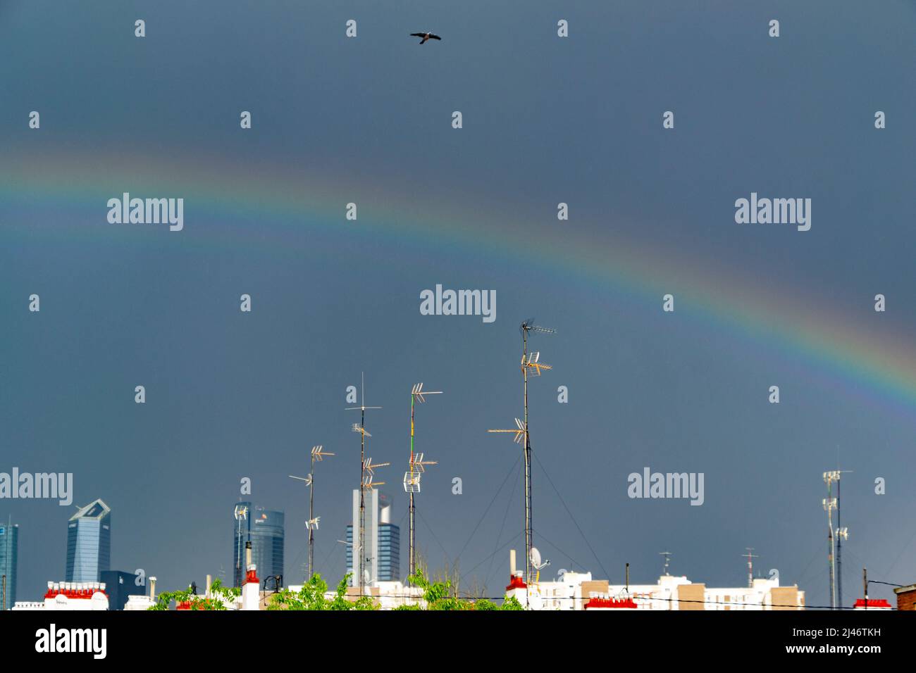 Rainbow color background hi-res stock photography and images - Alamy