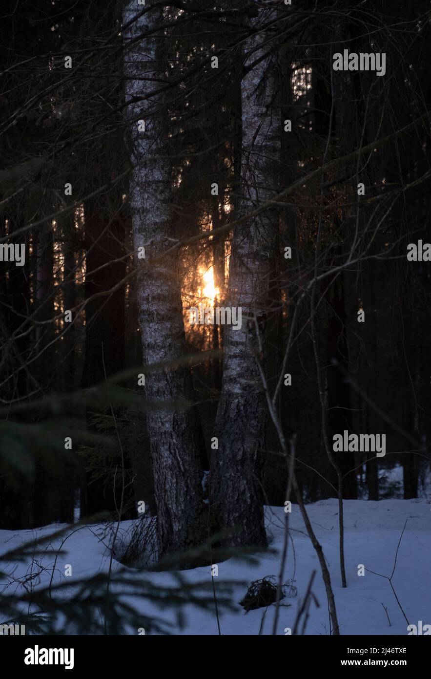 Dark atmosphere hi-res stock photography and images - Alamy