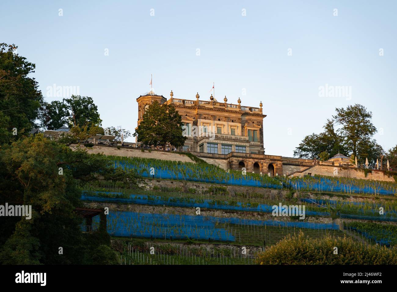 Lingner Palace and the vineyard. Classical architecture in the Elbe ...
