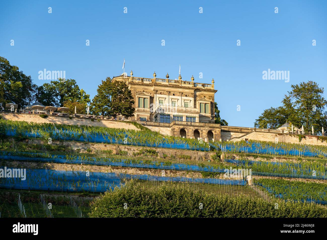 Lingner Palace and the vineyard. Classical architecture in the Elbe ...