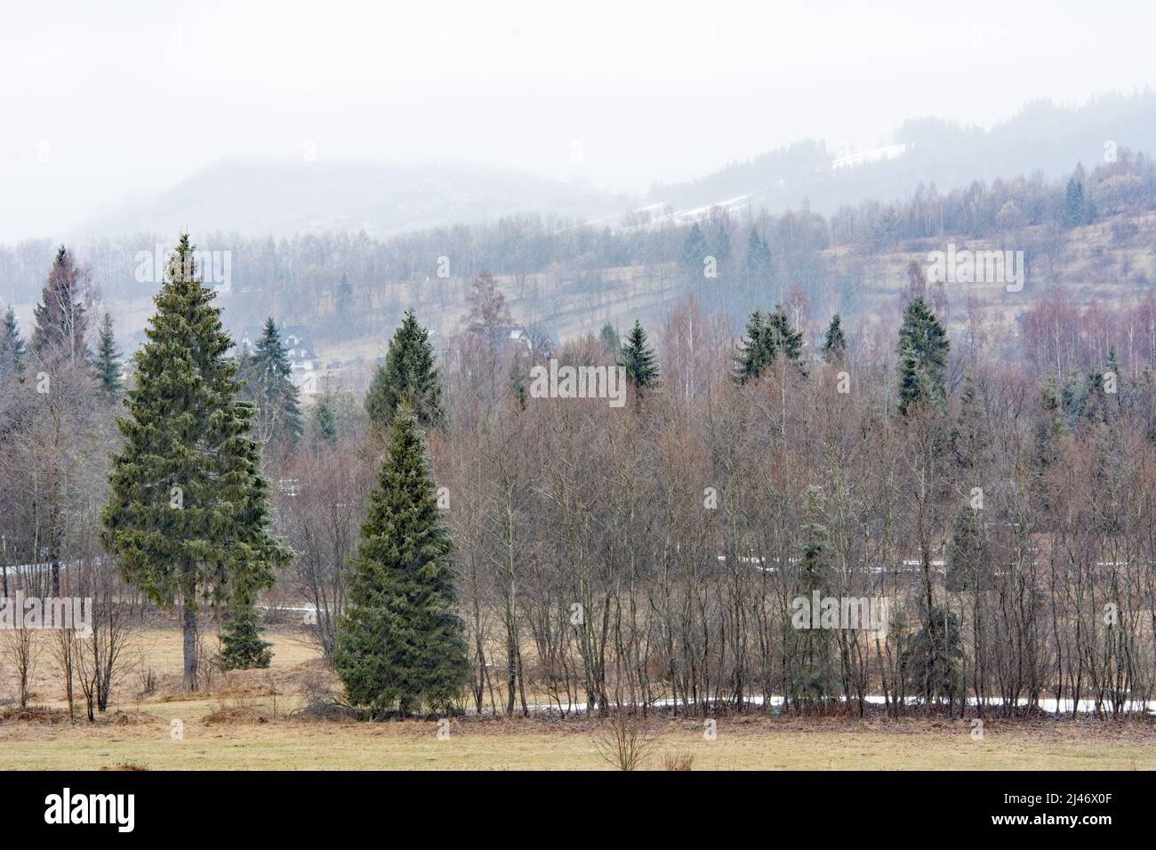 Polish early spring hi-res stock photography and images - Alamy