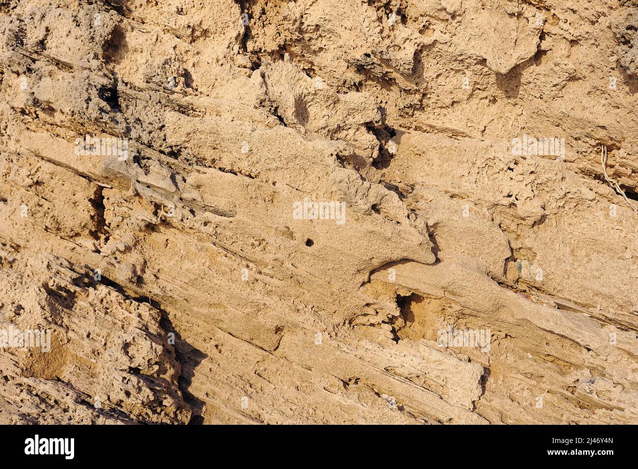 Porous sandstone hi-res stock photography and images - Alamy