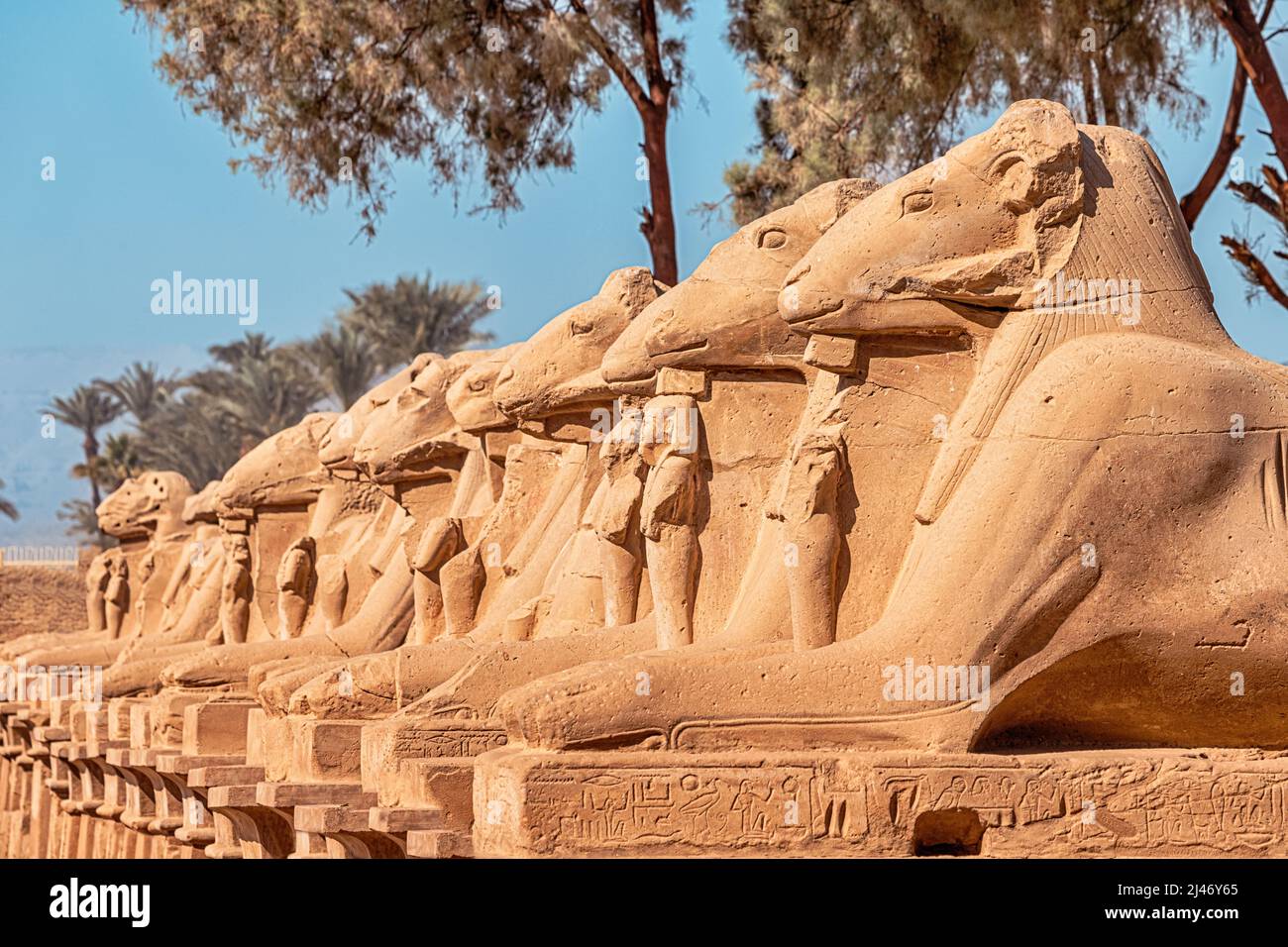Famous alley of Karnak sphinxes with a Goat heads in Luxor or ancient ...