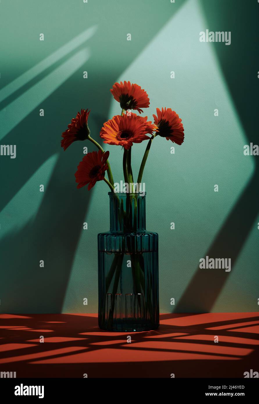 Vertical still life shot of fresh orange gerbera flowers in vintage ...