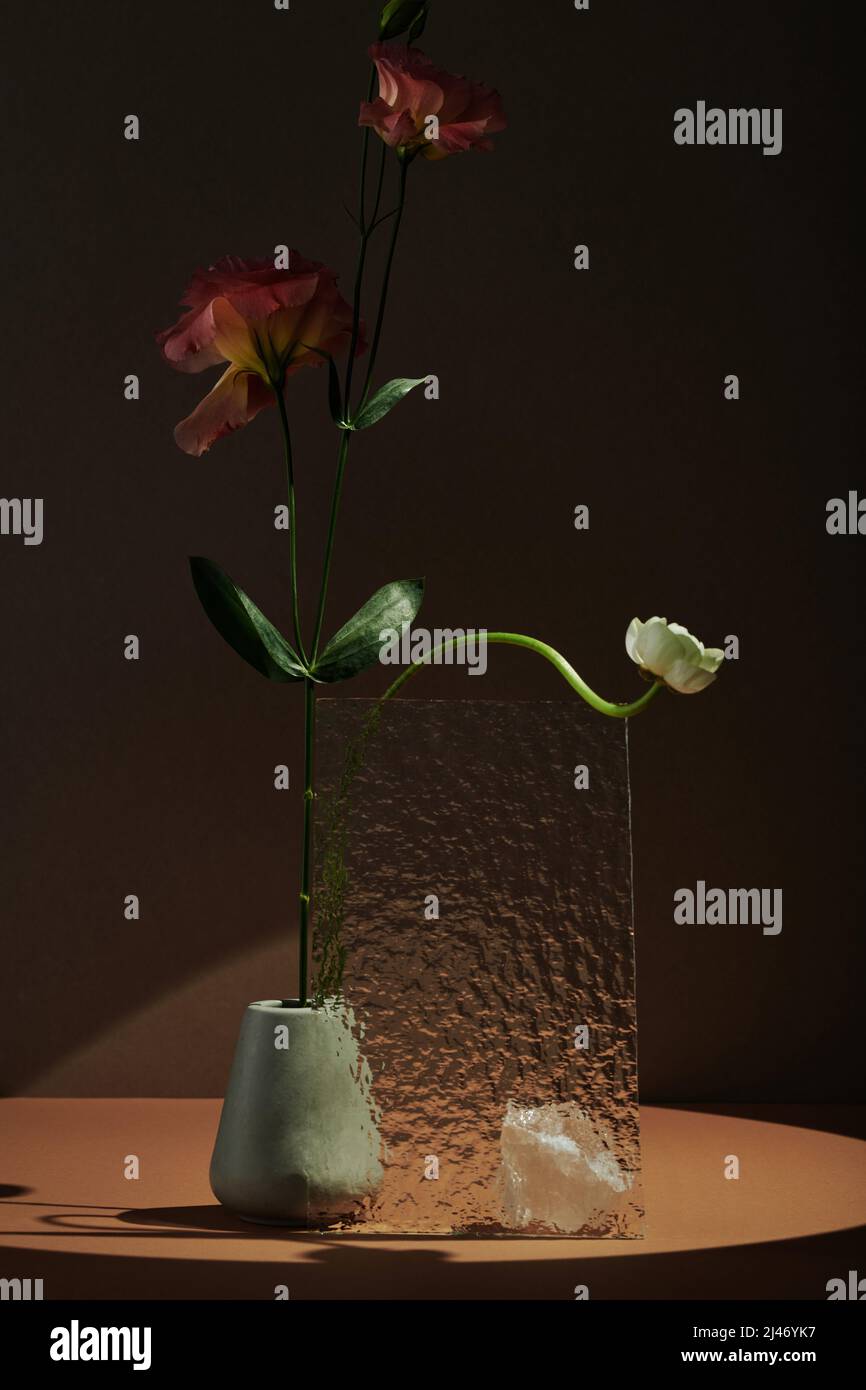 Vertical minimalistic still life composition of flowers in ceramic ...