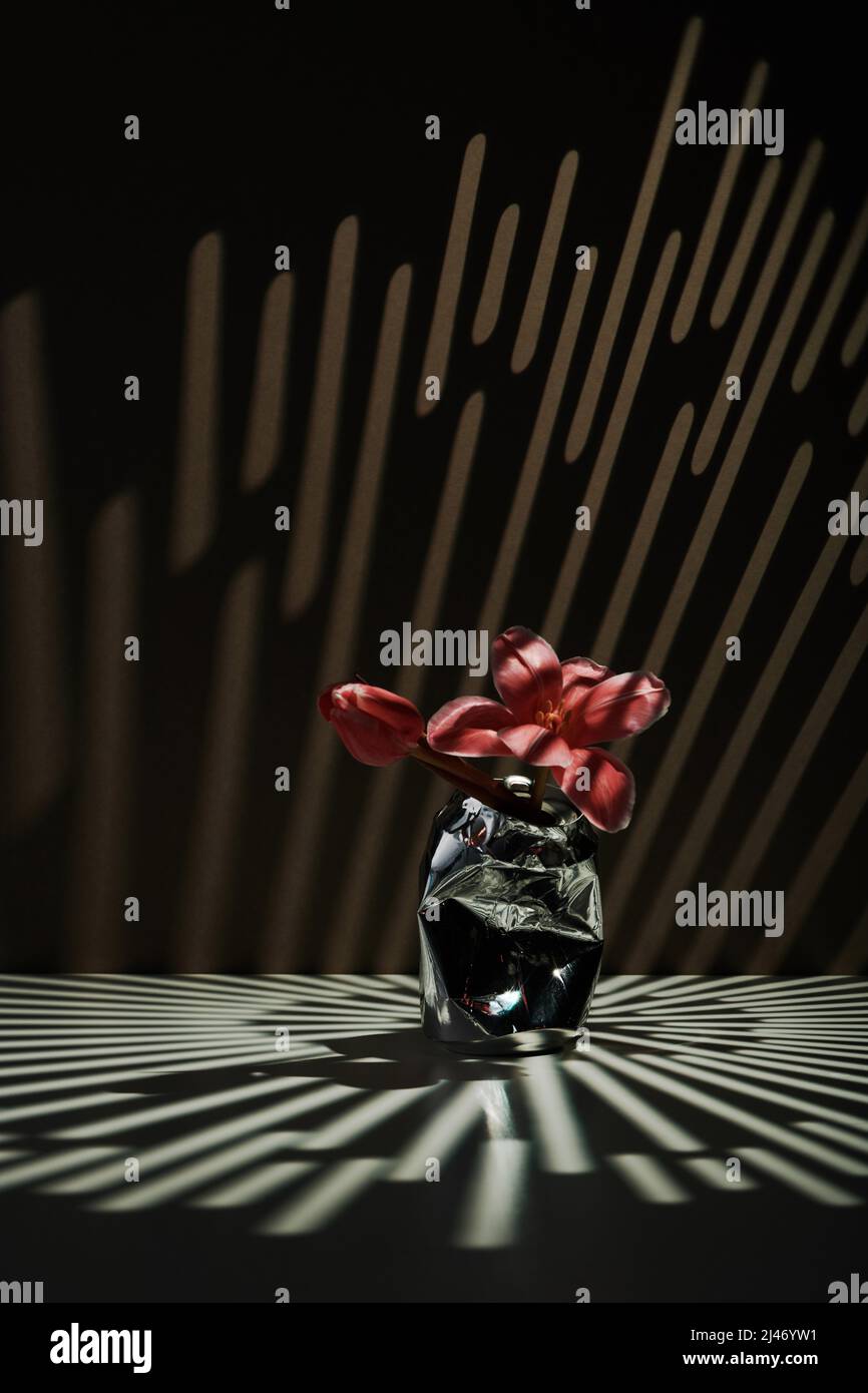 Vertical contemporary still life composition of fresh pink flower in ...