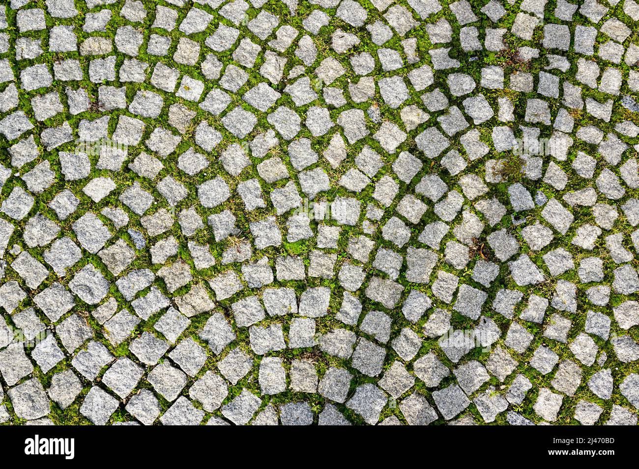 green grass grows through the gaps in the pavement granite stones Stock ...