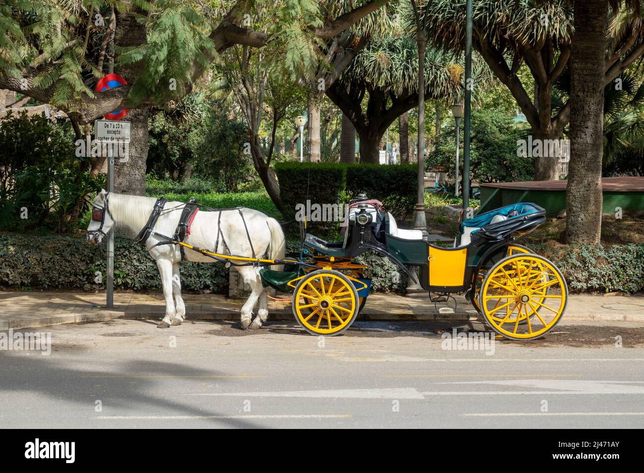 Typical horse carriage in a street in Malaga (Spain) to take tourists ...