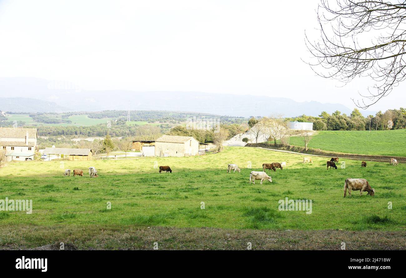 Sant marti de centelles hi-res stock photography and images - Alamy
