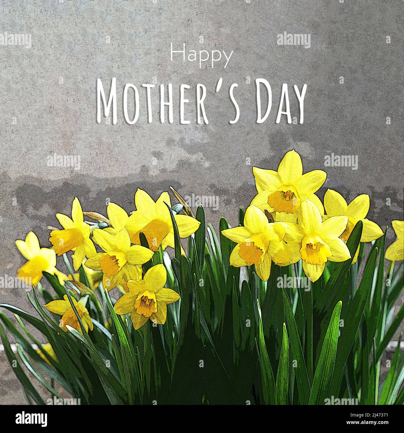 Cartoon daffodil flower hi-res stock photography and images - Alamy