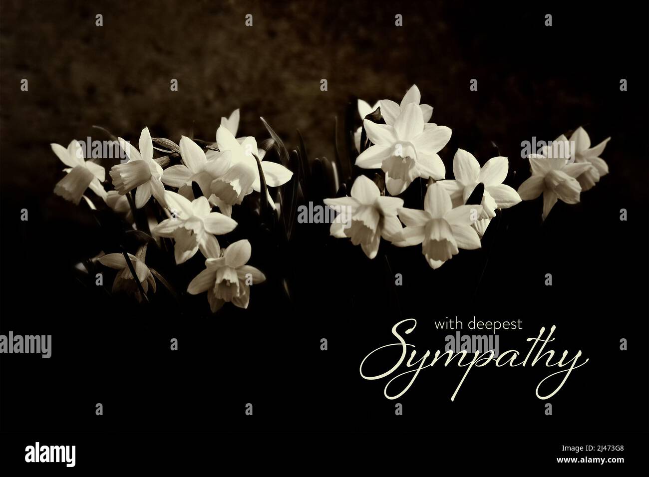 Sympathy message background hi-res stock photography and images - Alamy