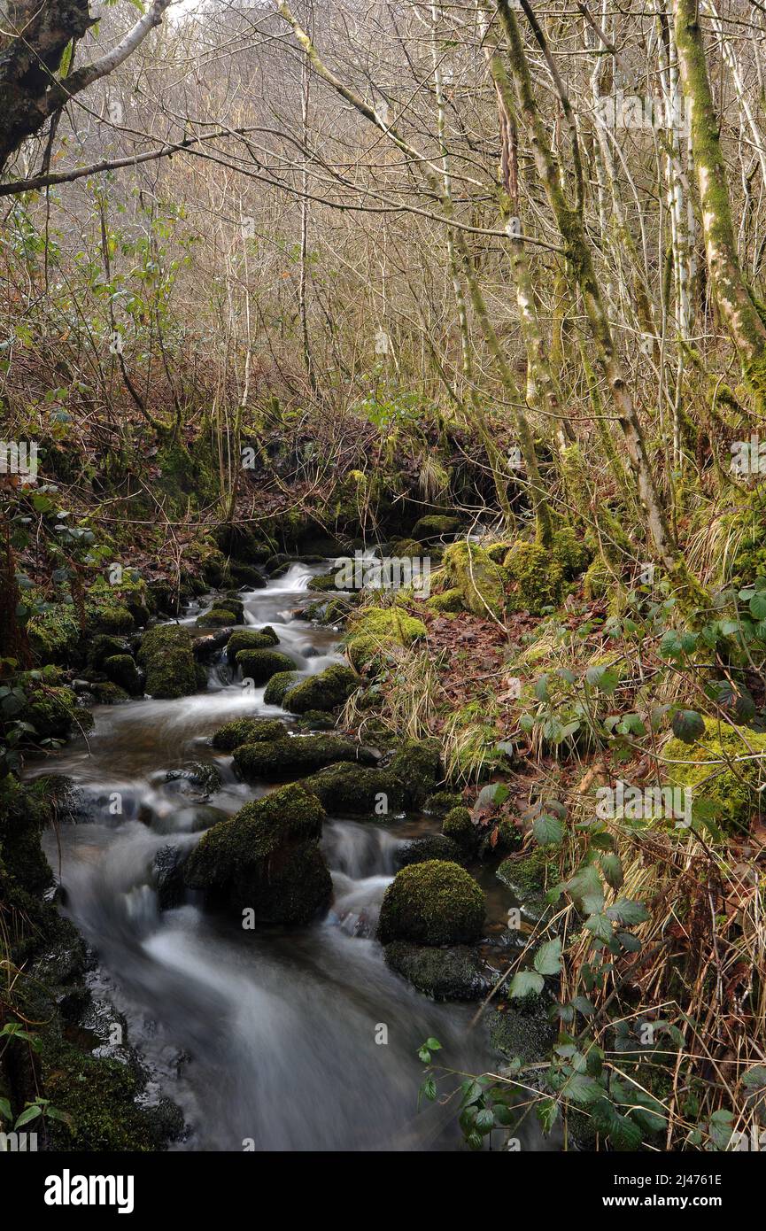 Un-named tributary stream of the Afon Mellte Stock Photo - Alamy
