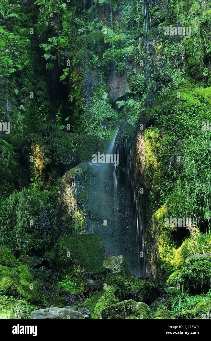 Melincourt falls hi-res stock photography and images - Alamy