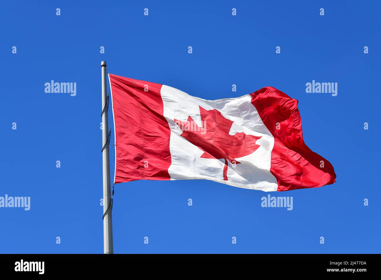 The Canadian national flag waves in Cambridge, ON, Canada, with the ...
