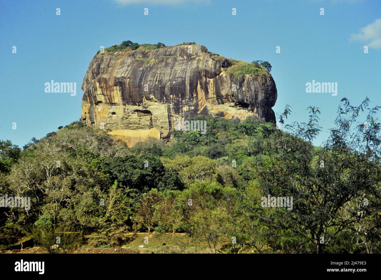 huge monolith rock on hill in forest in India Stock Photo - Alamy