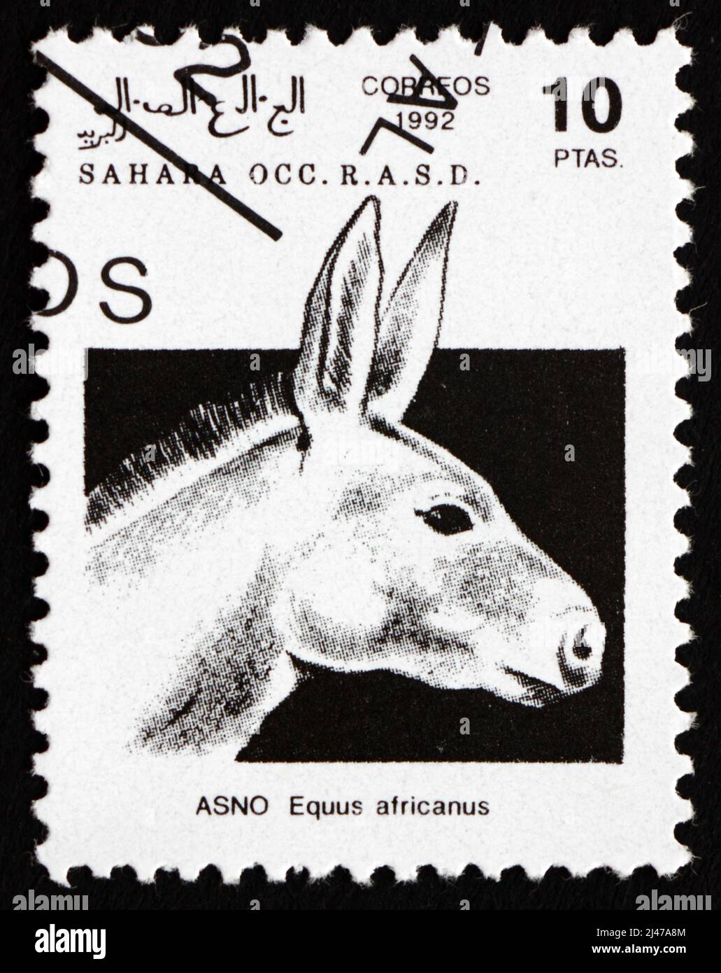 SAHARA - CIRCA 1992: a stamp printed in Sahrawi Arab Democratic ...