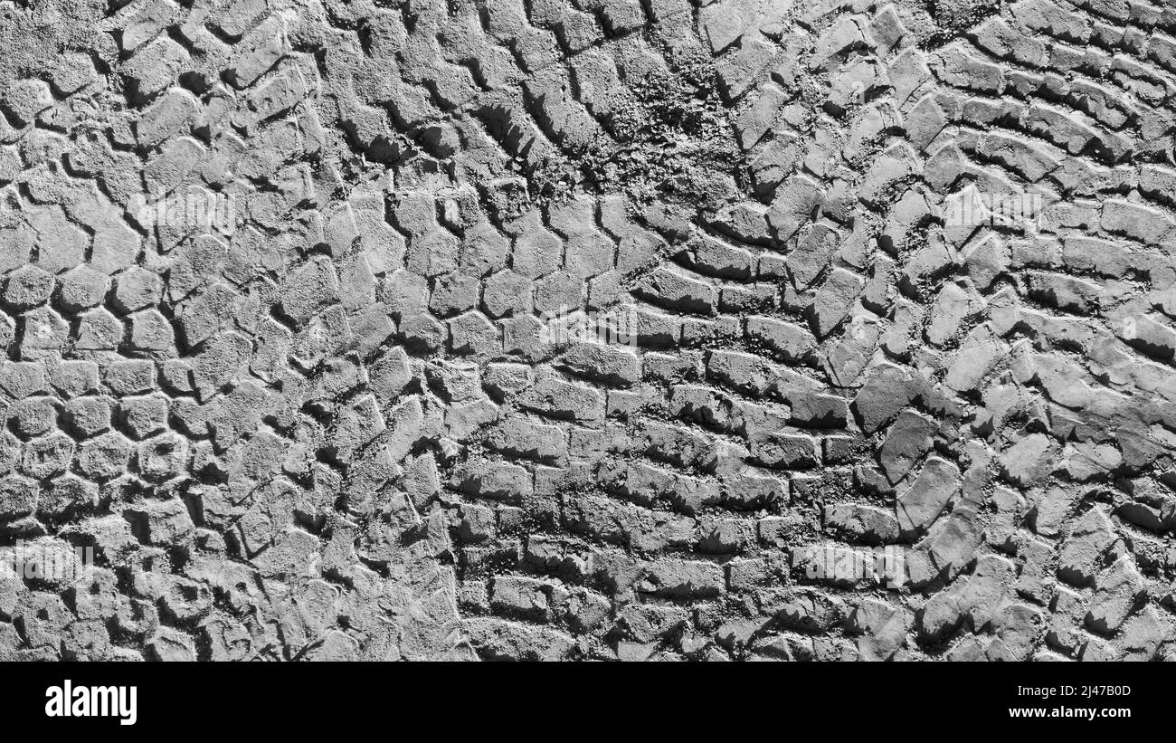 Soil Black And White