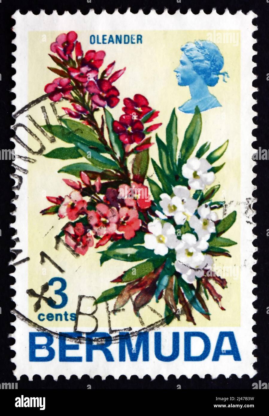 BERMUDA - CIRCA 1970: a stamp printed in Bermuda shows Nerium Oleander ...