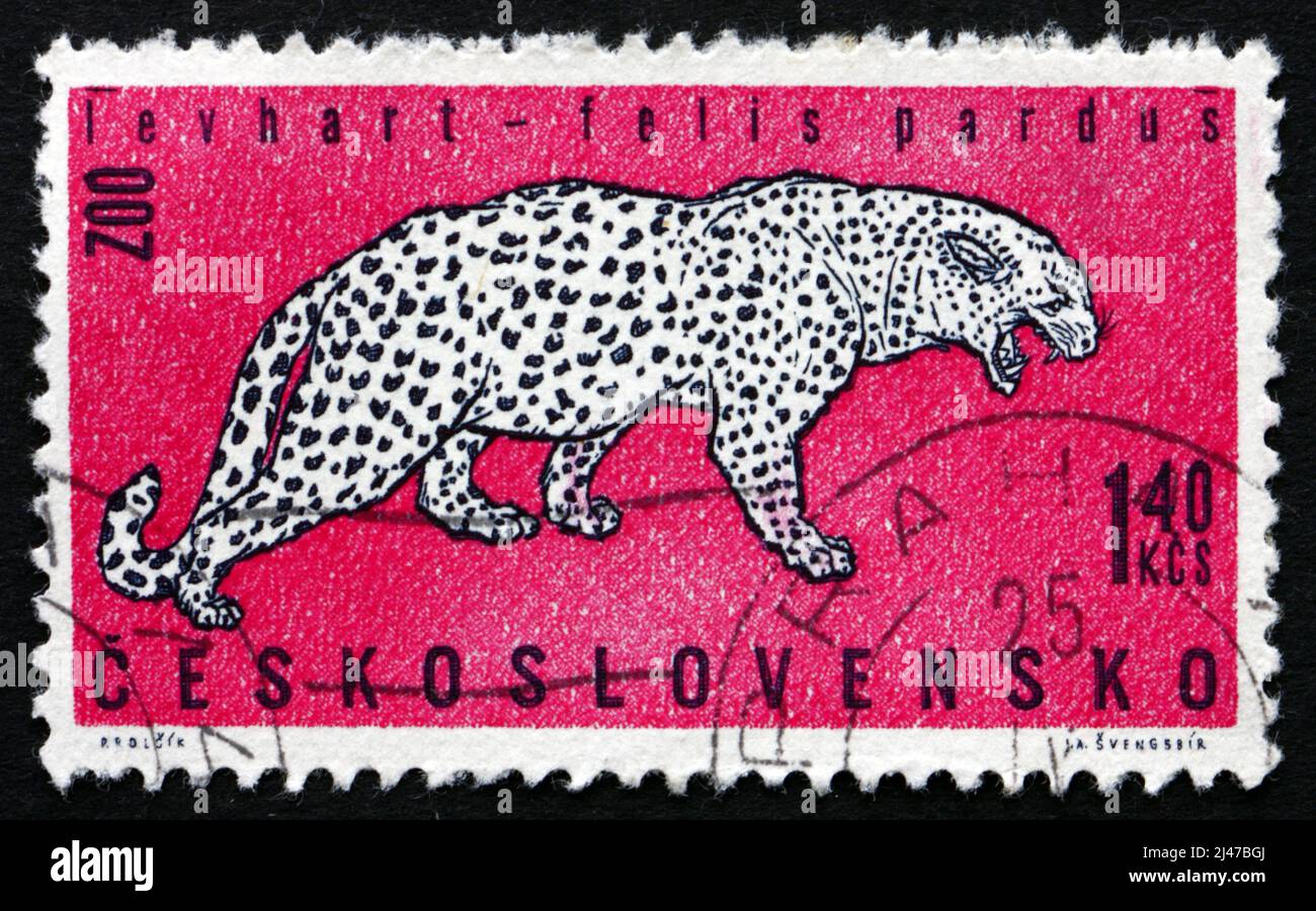 CZECHOSLOVAKIA - CIRCA 1962: a stamp printed in the Czechoslovakia ...