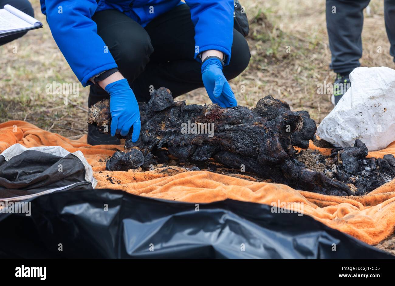 (EDITOR'S NOTE: Image depicts death) Forensic police officers exhume ...